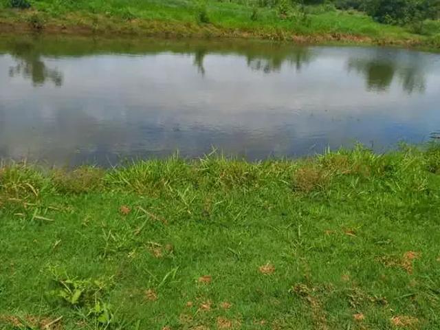 Sítio / Chácara para Venda em Cesário Lange/SP Zona Rural 1 Quartos
