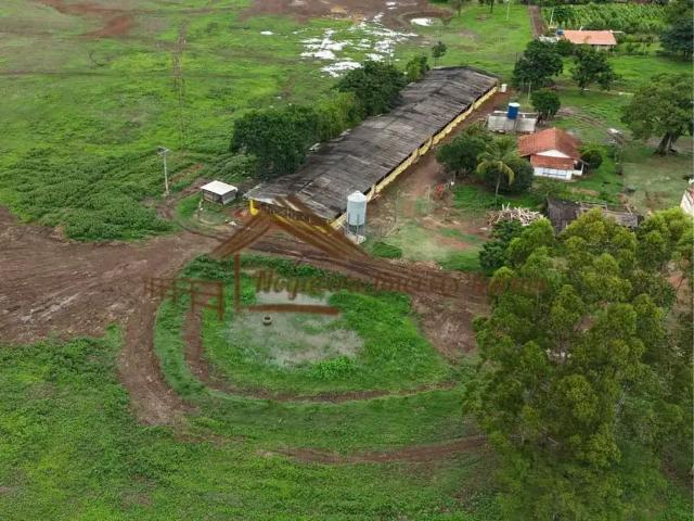 Sítio / Chácara para Venda em Cesário Lange/SP Zona Rural