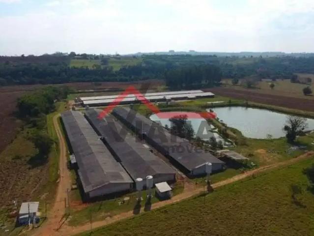 Sítio / Chácara para Venda em Cesário Lange/SP Zona Rural