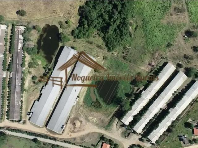 Sítio / Chácara para Venda em Cesário Lange/SP Zona Rural