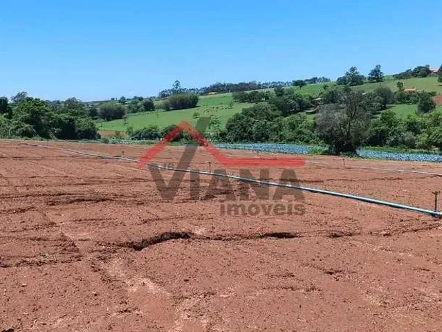 Sítio / Chácara para Venda em Cesário Lange/SP Zona Rural