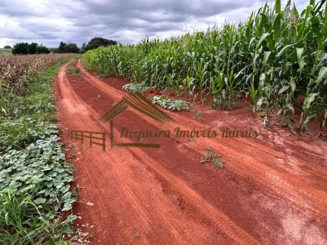 Sítio / Chácara para Venda em Cesário Lange/SP Zona Rural