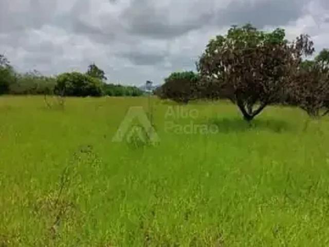 Sítio / Chácara para Venda em Chã Grande/PE Centro