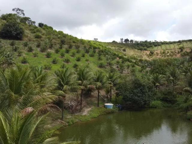 Sítio / Chácara para Venda em Chã Grande/PE Zona Rural