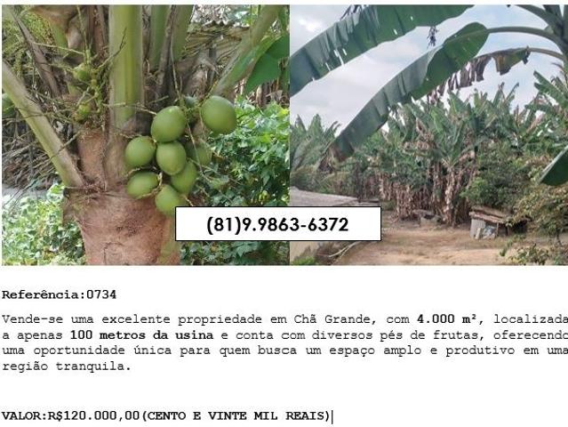 Sítio / Chácara para Venda em Chã Grande/PE Zona Rural