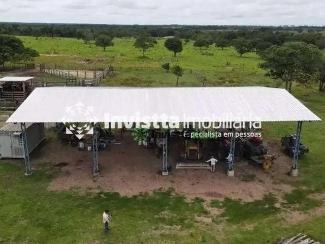 Sítio / Chácara para Venda em Chapada de Areia/TO Zona Rural