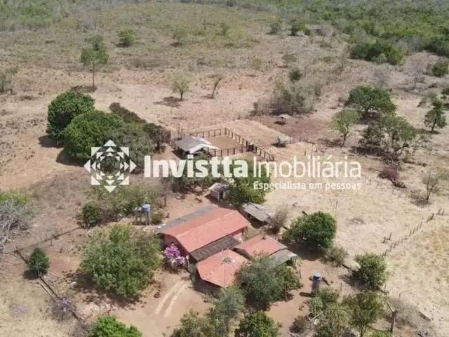 Sítio / Chácara para Venda em Chapada de Areia/TO Zona Rural