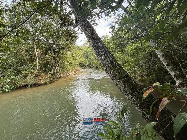 Sítio / Chácara para Venda em Chapada dos Guimarães/MT Centro