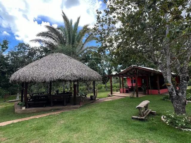 Sítio / Chácara para Venda em Chapada dos Guimarães/MT Zona Rural