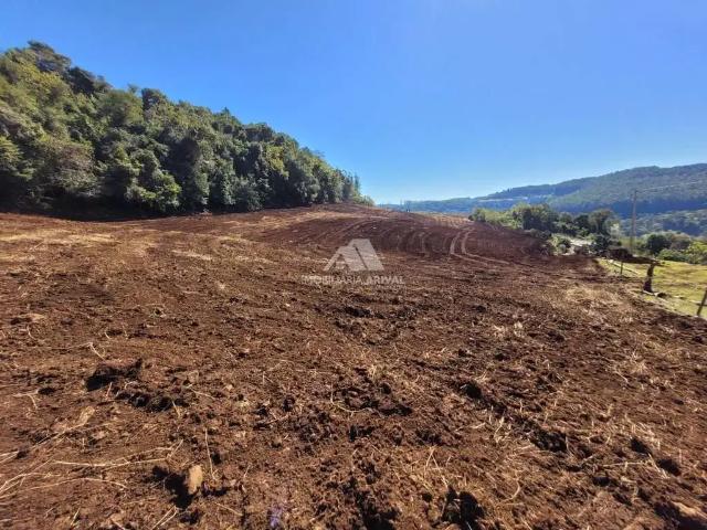 Sítio / Chácara para Venda em Chapecó/SC Área Rural de Chapecó