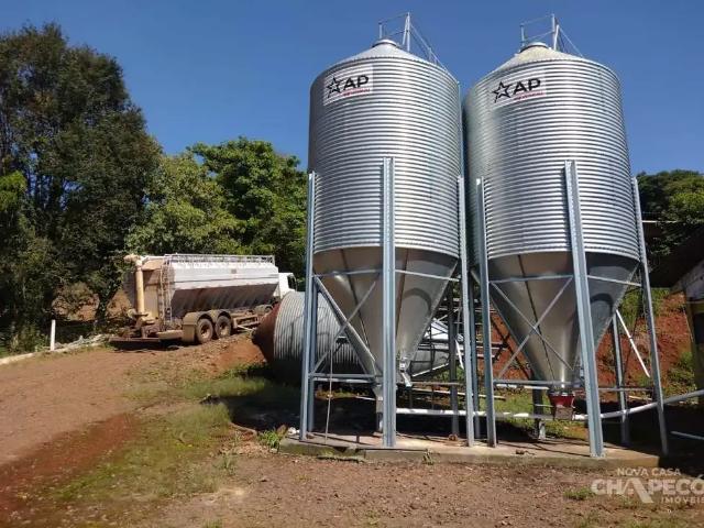 Sítio / Chácara para Venda em Chapecó/SC São Cristóvão