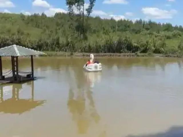 Sítio / Chácara para Venda em Chapecó/SC São Cristóvão