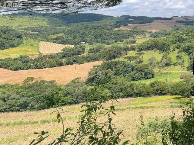 Sítio / Chácara para Venda em Chopinzinho/PR Zona Rural 2 Quartos