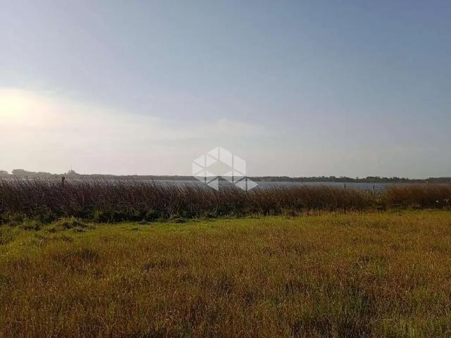 Sítio / Chácara para Venda em Cidreira/RS Zona Rural