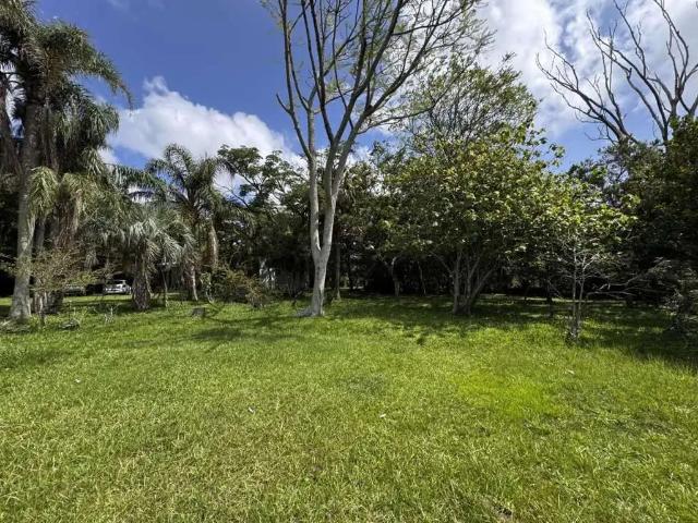 Sítio / Chácara para Venda em Cidreira/RS Estancia da Lagoa 3 Quartos