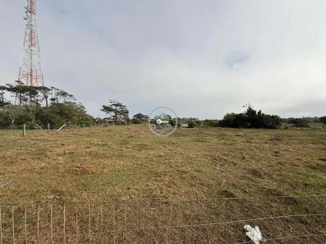 Sítio / Chácara para Venda em Cidreira/RS Lagoa da Fortaleza