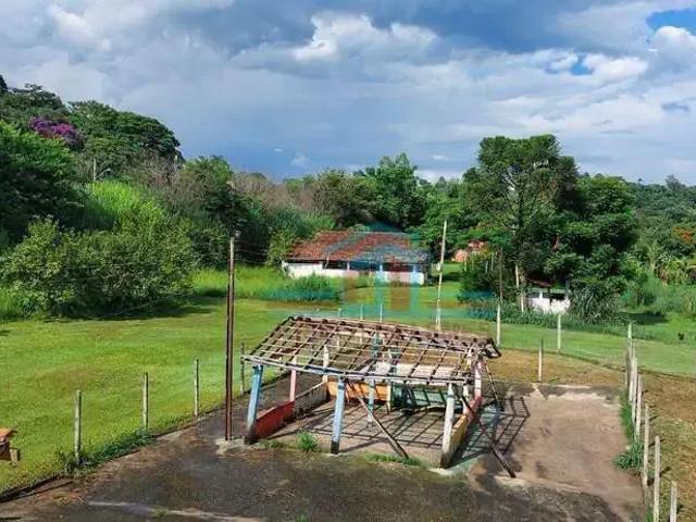 Sítio / Chácara para Venda em Cruzeiro/SP Vila Bionde 3 Quartos