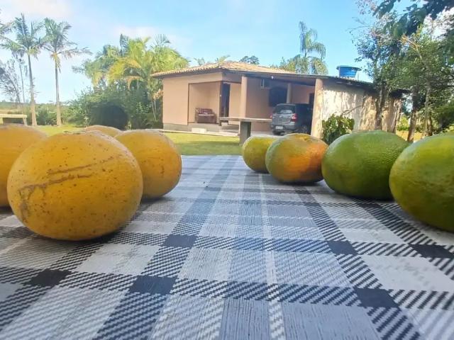 Sítio / Chácara para Venda em Criciúma/SC Área Rural de Criciúma 2 Quartos