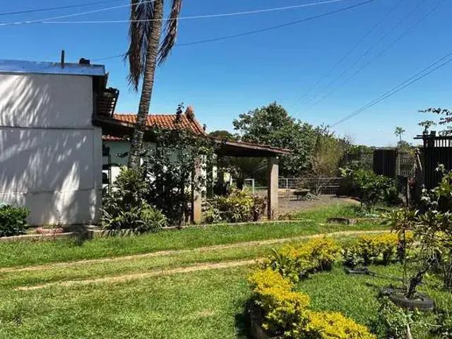 Sítio / Chácara para Venda em Cristais Paulista/SP Centro 3 Quartos