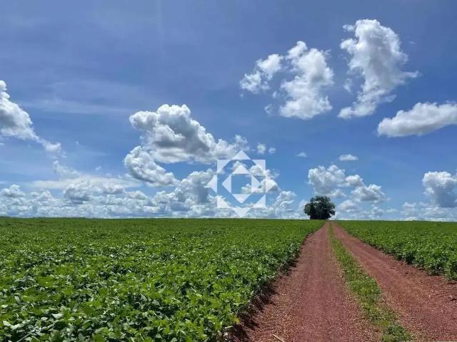 Sítio / Chácara para Venda em Cristalândia/TO Setor Central 4 Quartos