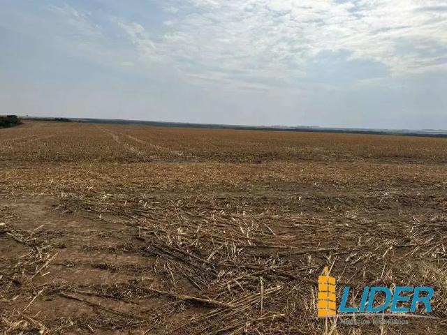 Sítio / Chácara para Venda em Cristalina/GO Zona Rural