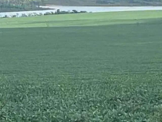 Sítio / Chácara para Venda em Cristalina/GO Zona Rural
