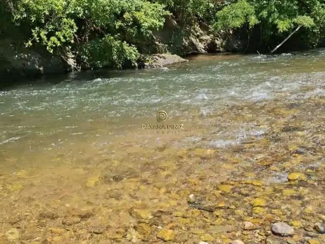 Sítio / Chácara para Venda em Cuiabá/MT Coxipó do Ouro