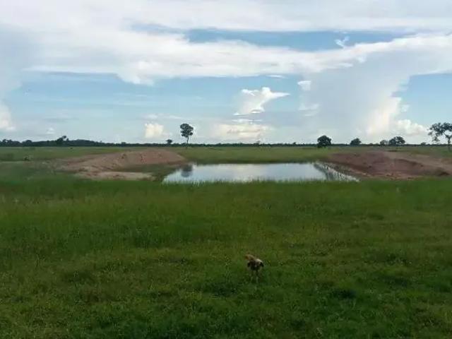 Sítio / Chácara para Venda em Cuiabá/MT Carumbé
