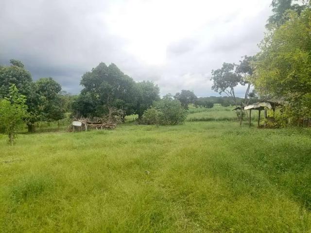 Sítio / Chácara para Venda em Cuiabá/MT Guia 3 Quartos