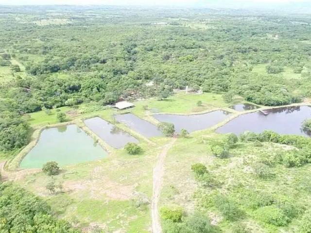 Sítio / Chácara para Venda em Cuiabá/MT Nossa Senhora da Guia 3 Quartos