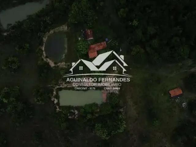 Sítio / Chácara para Venda em Cuiabá/MT Raizama