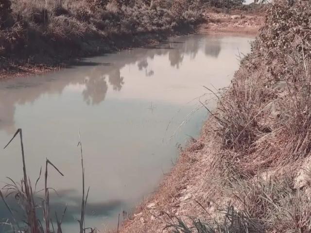 Sítio / Chácara para Venda em Cuiabá/MT Zona Rural