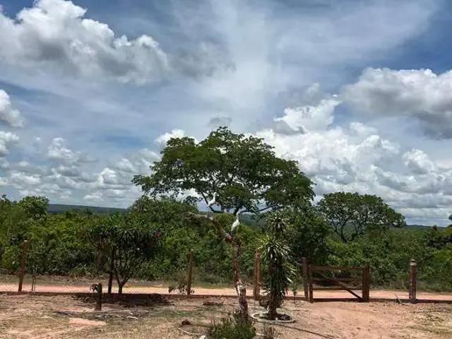 Sítio / Chácara para Venda em Cuiabá/MT Zona Rural
