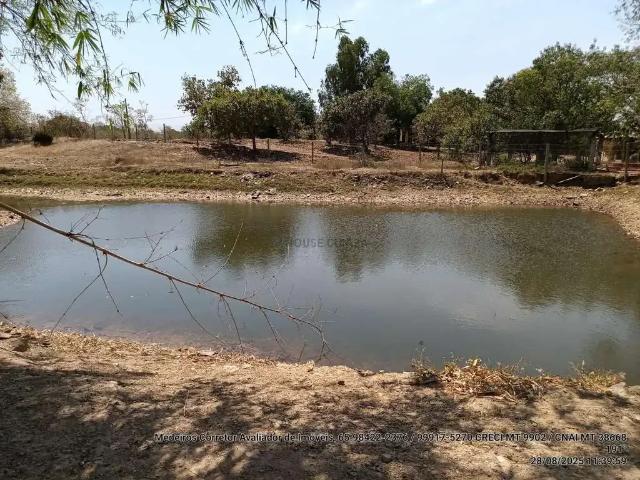 Sítio / Chácara para Venda em Cuiabá/MT Área Rural de Cuiabá 1 Quartos