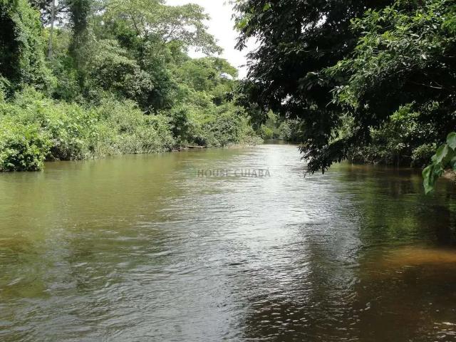 Sítio / Chácara para Venda em Cuiabá/MT Zona Rural 2 Quartos
