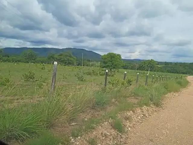 Sítio / Chácara para Venda em Cuiabá/MT Zona Rural 3 Quartos