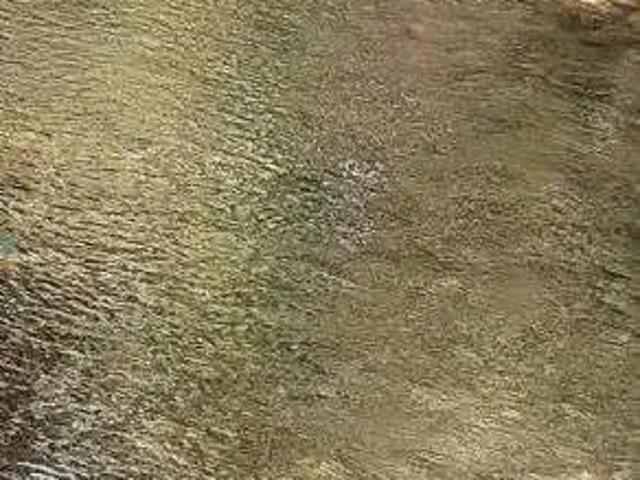 Sítio / Chácara para Venda em Cuiabá/MT Zona Rural 3 Quartos
