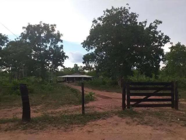 Sítio / Chácara para Venda em Cuiabá/MT Zona Rural 3 Quartos
