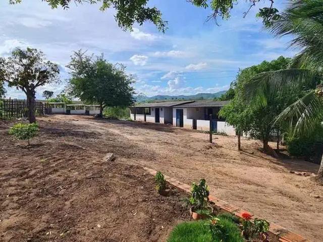 Sítio / Chácara para Venda em Cuitegi/PB Centro 3 Quartos