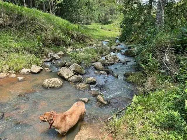 Sítio / Chácara para Venda em Cunha/SP Zona Rural