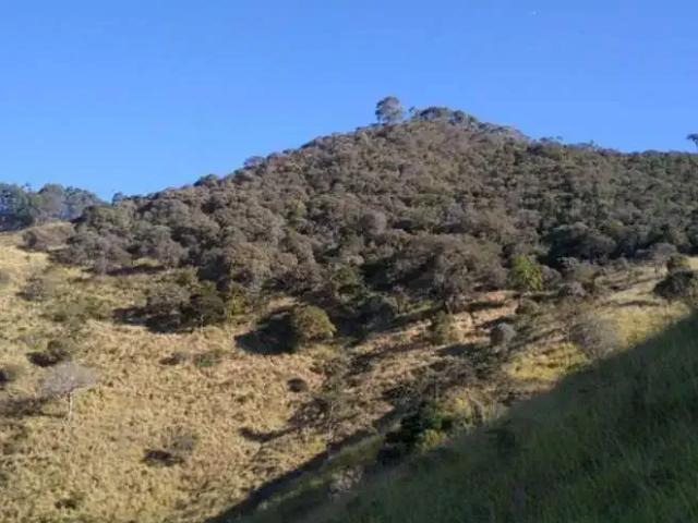 Sítio / Chácara para Venda em Cunha/SP Zona Rural