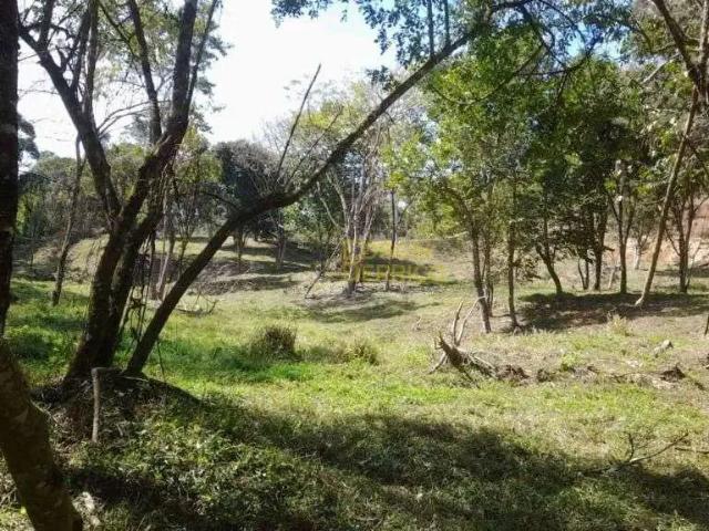 Sítio / Chácara para Venda em Cunha/SP Zona Rural