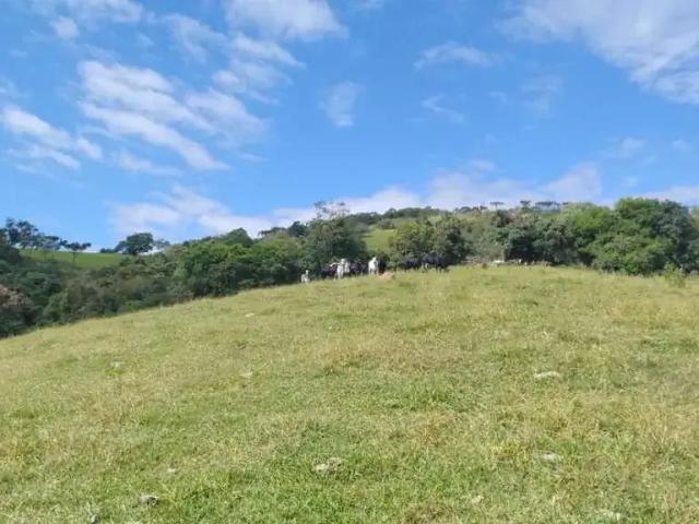 Sítio / Chácara para Venda em Cunha/SP Zona Rural