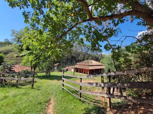 Sítio / Chácara para Venda em Cunha/SP Zona Rural 3 Quartos