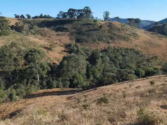 Sítio / Chácara para Venda em Cunha/SP Zona Rural