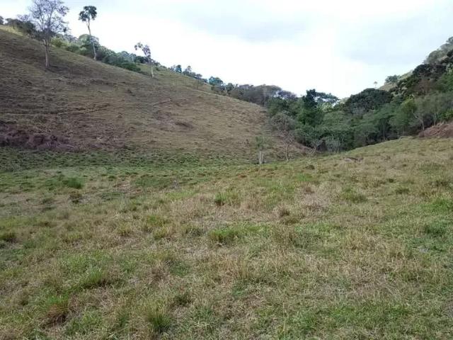 Sítio / Chácara para Venda em Cunha/SP Canjarana