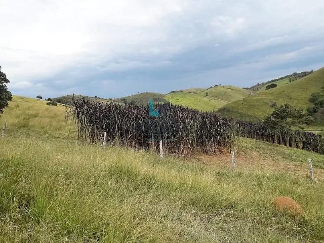 Sítio / Chácara para Venda em Cunha/SP Centro
