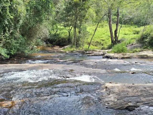 Sítio / Chácara para Venda em Cunha/SP Centro