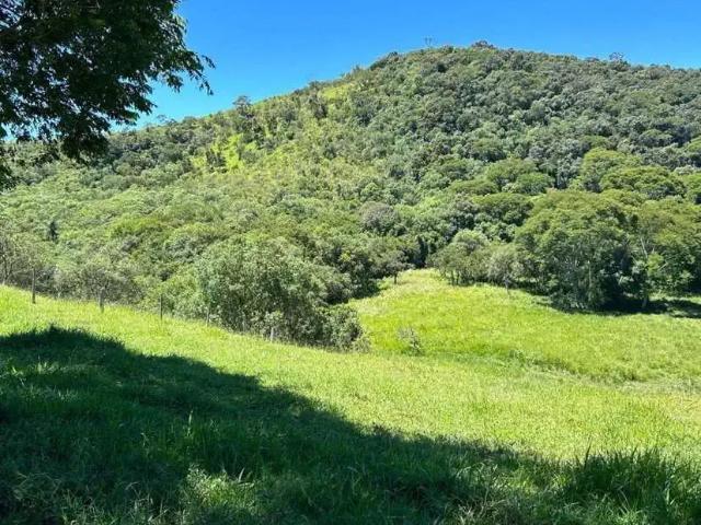 Sítio / Chácara para Venda em Cunha/SP Centro