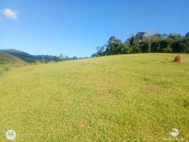Sítio / Chácara para Venda em Cunha/SP Centro